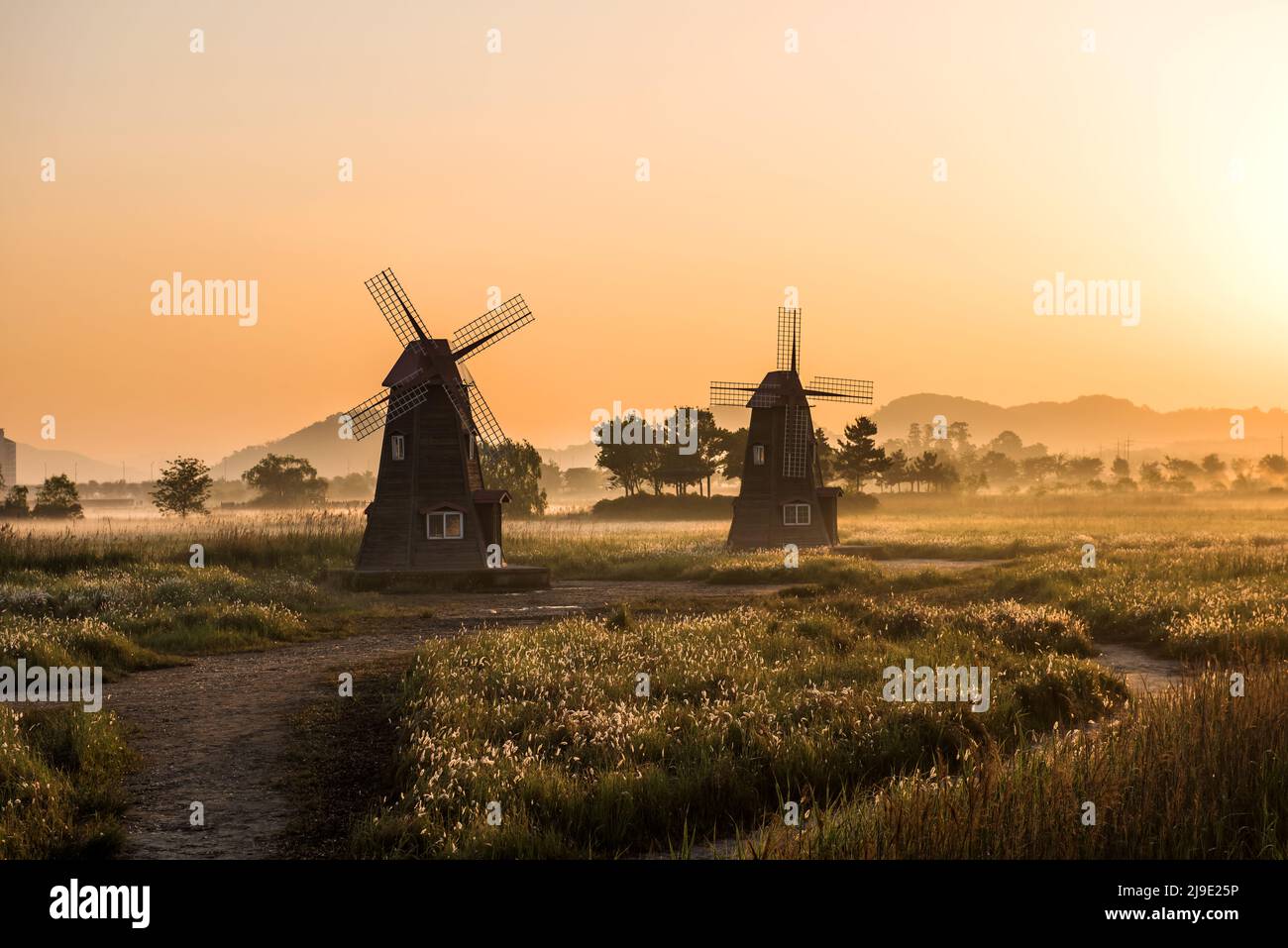 The beautiful landscape of fogy windmill town in the early morning at ...