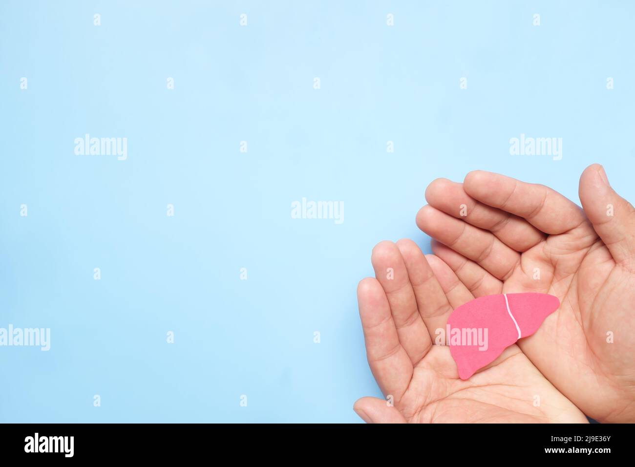 Top view of hand holding liver cutout. Liver health care and protection ...