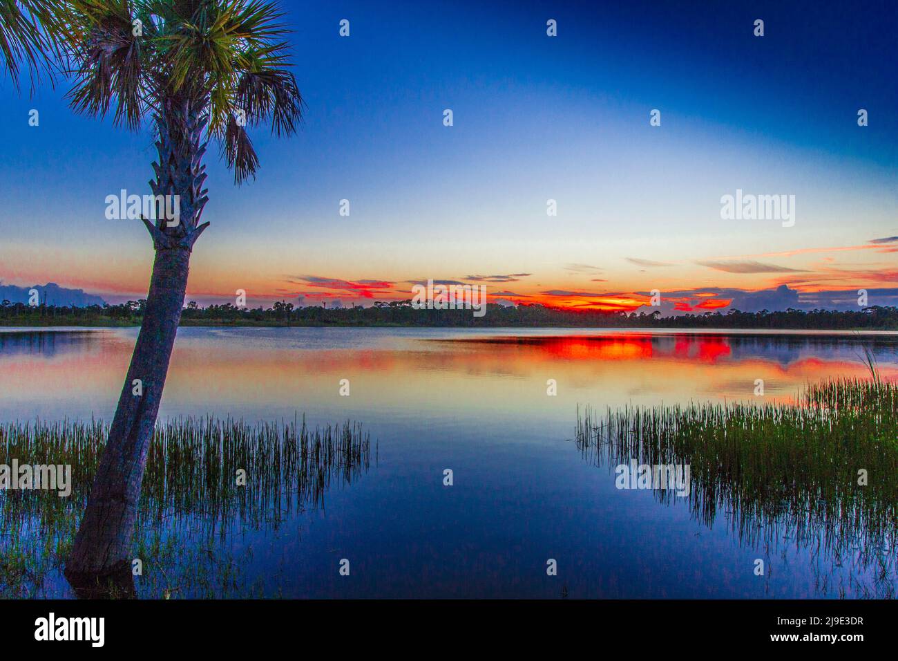 Colorful Sunset over Lake Zobel, George LeStrange Preserve, Fort Pierce ...