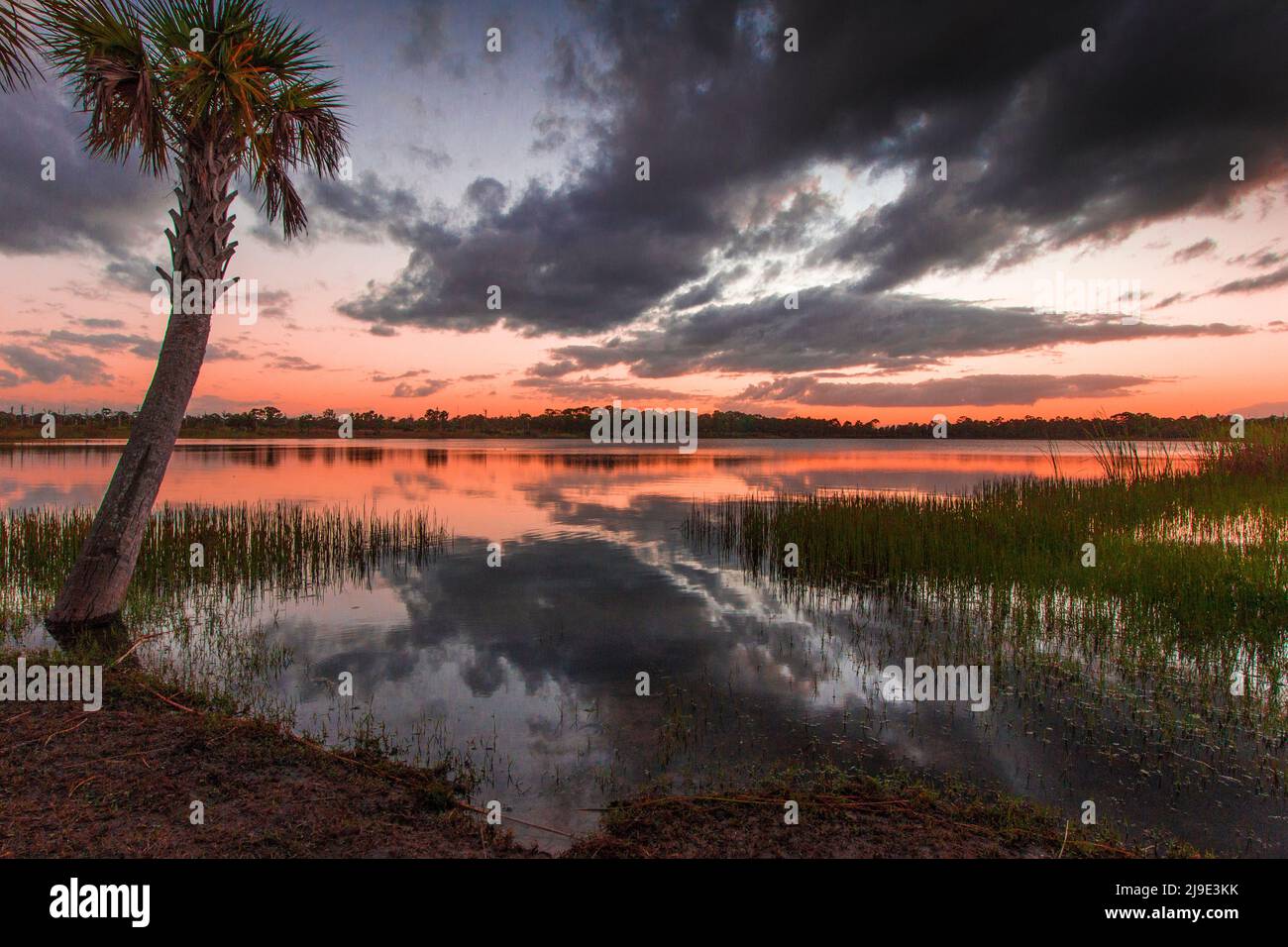 Colorful Sunset over Lake Zobel, George LeStrange Preserve, Fort Pierce ...