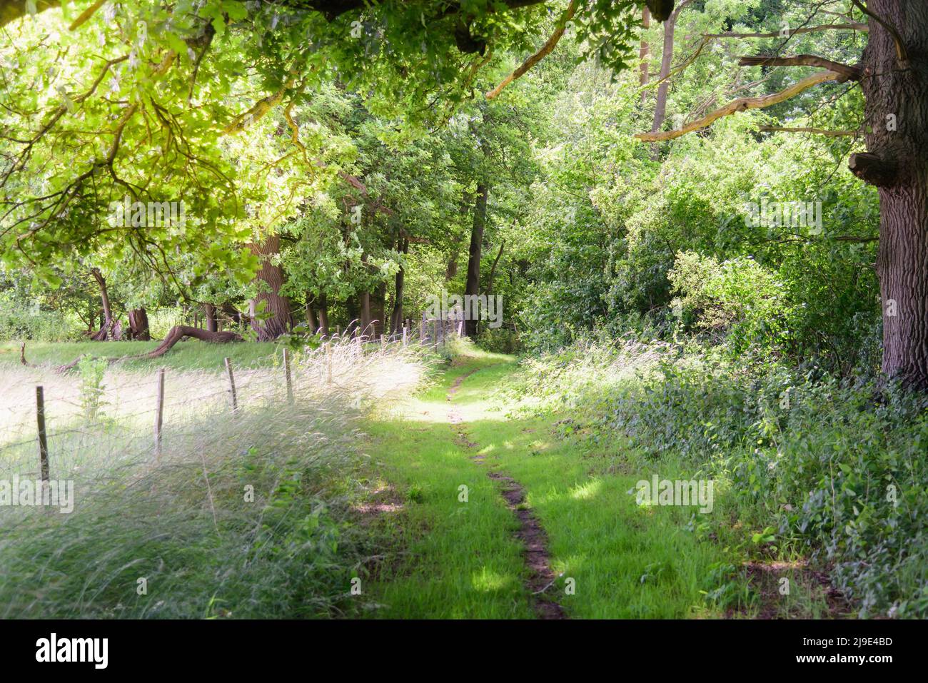 Rural walking path - public lane Stock Photo - Alamy