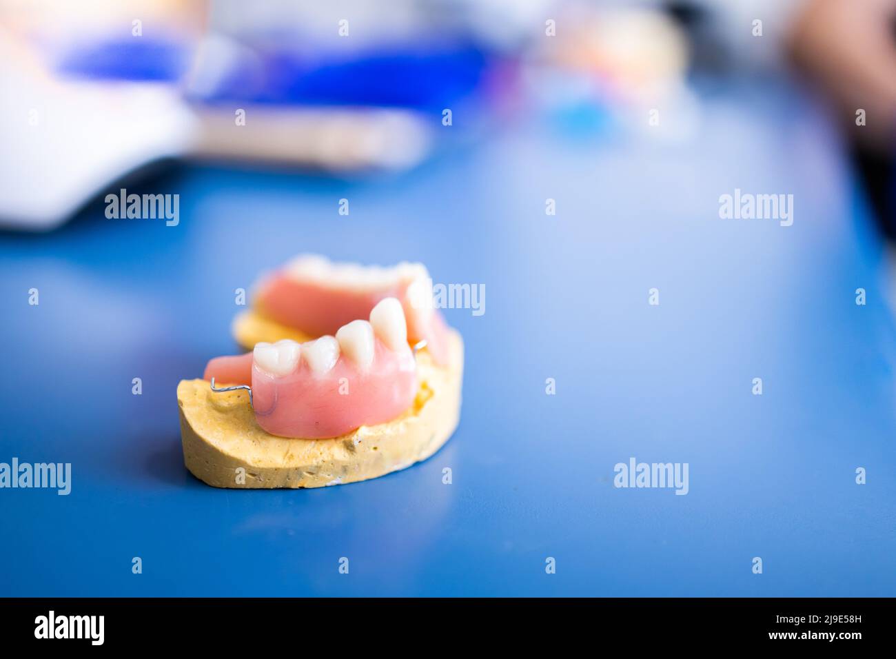 Isolated artificial jaw. Dental Prosthesis. Zirconium porcelain tooth ...