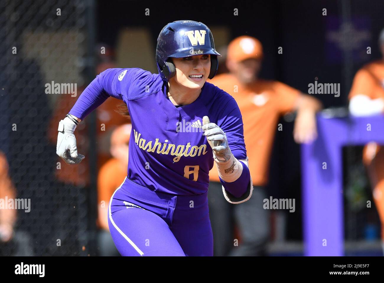 Baylee hi-res stock photography and images - Alamy