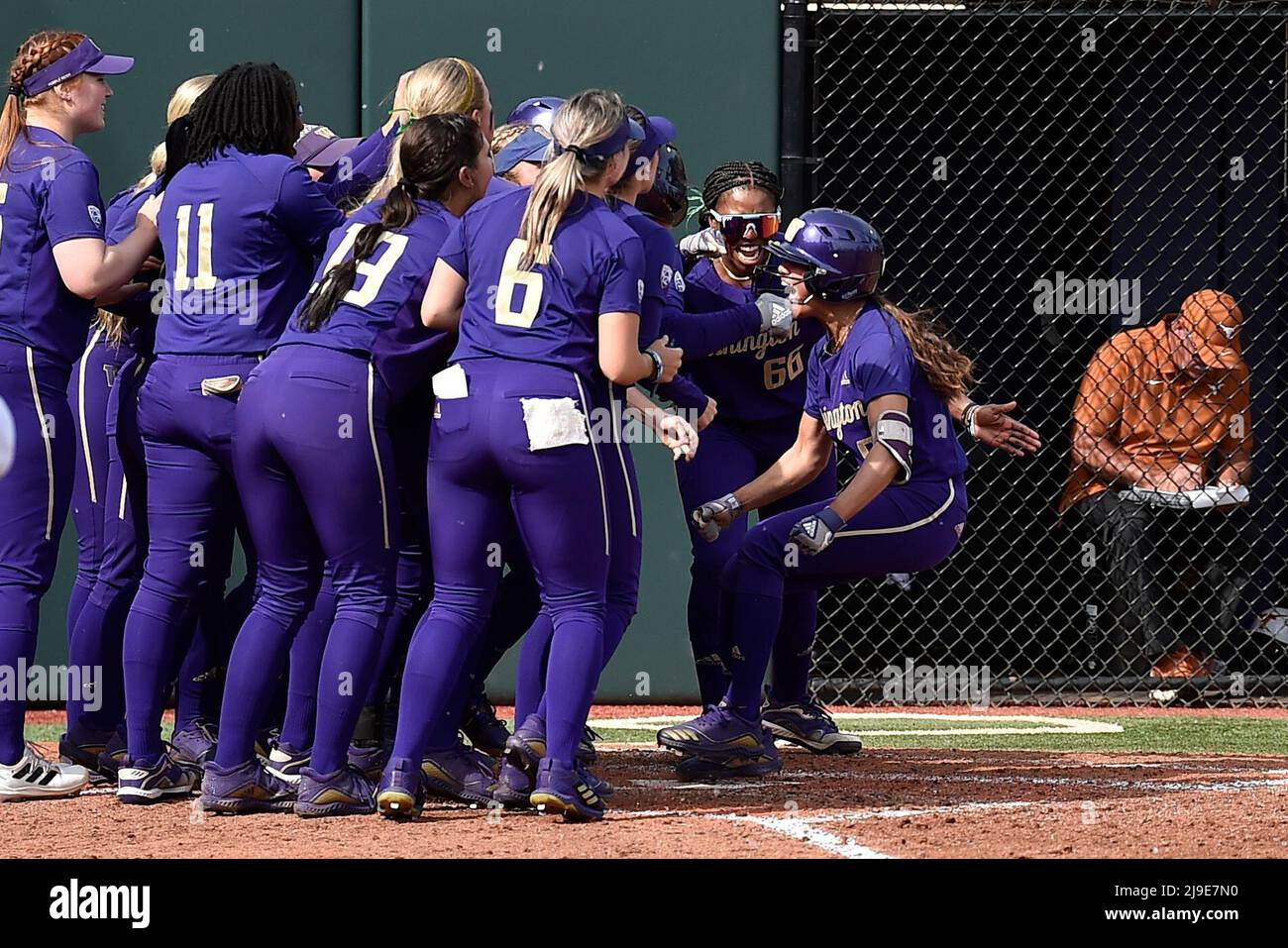 Madison huskey hi-res stock photography and images - Alamy
