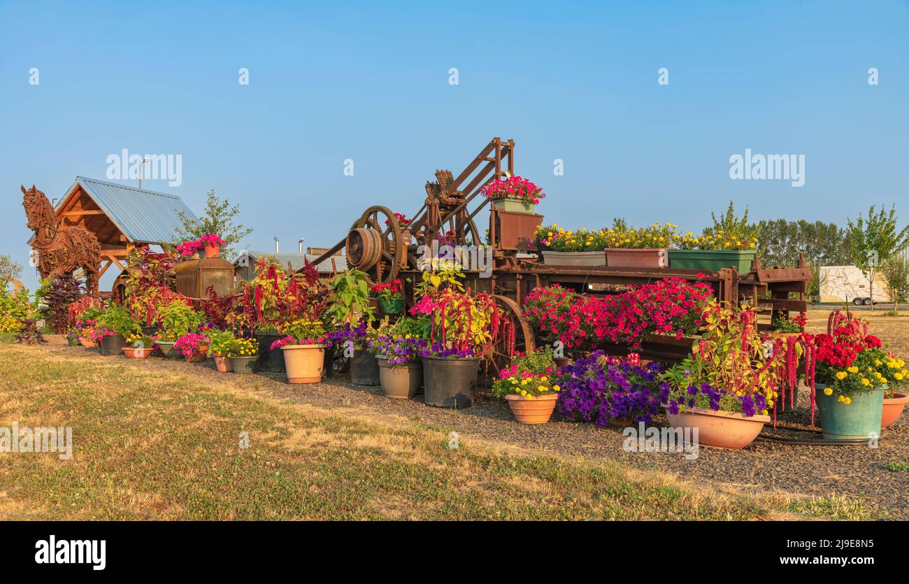 Historical museum of lumberjacks and blacksmith in Mcmnville Oregon ...
