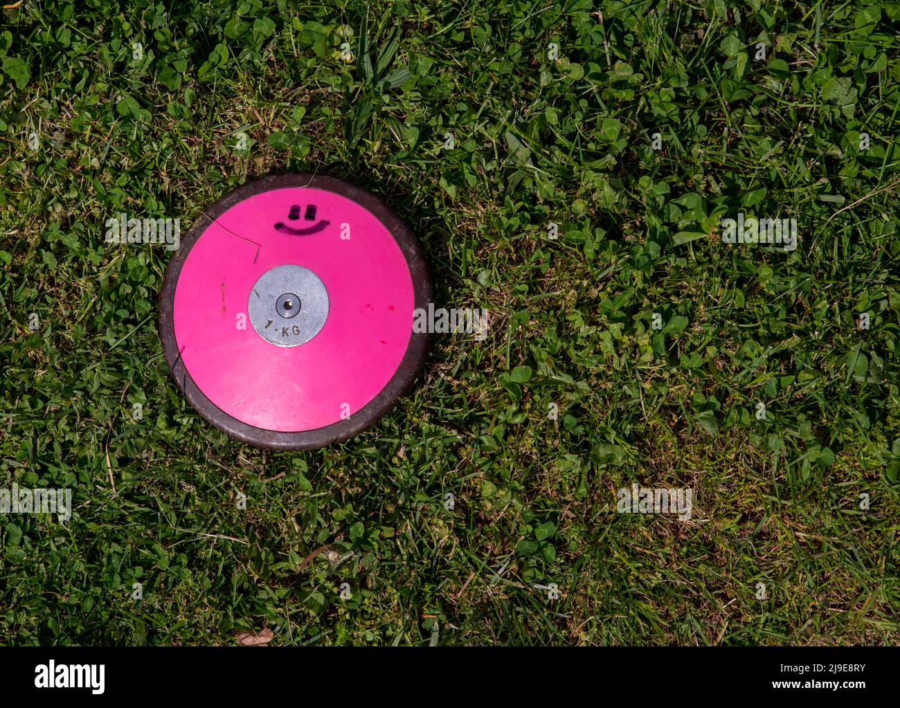 High angle view of pink discus off center in green grass Stock Photo ...