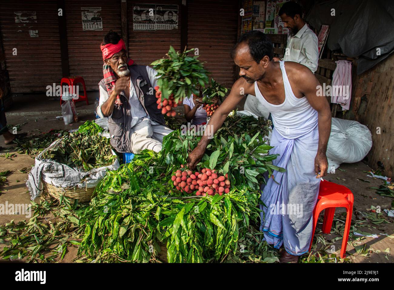 Dhaka, Bangladesh. 22nd May, 2022. Lichi is a fruit that is very ...