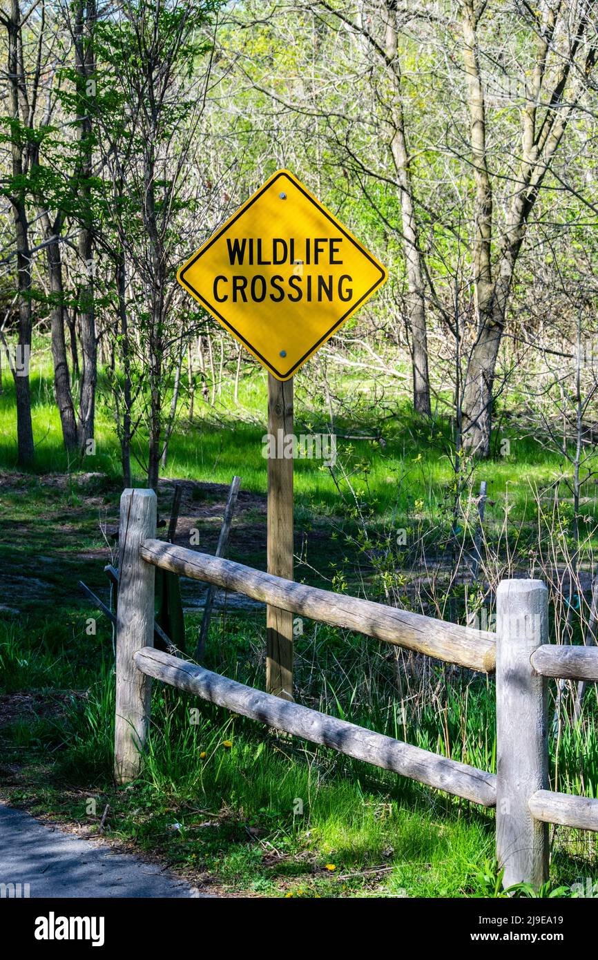 "Wildlife Crossing" sign in a public park- stock photography Stock ...