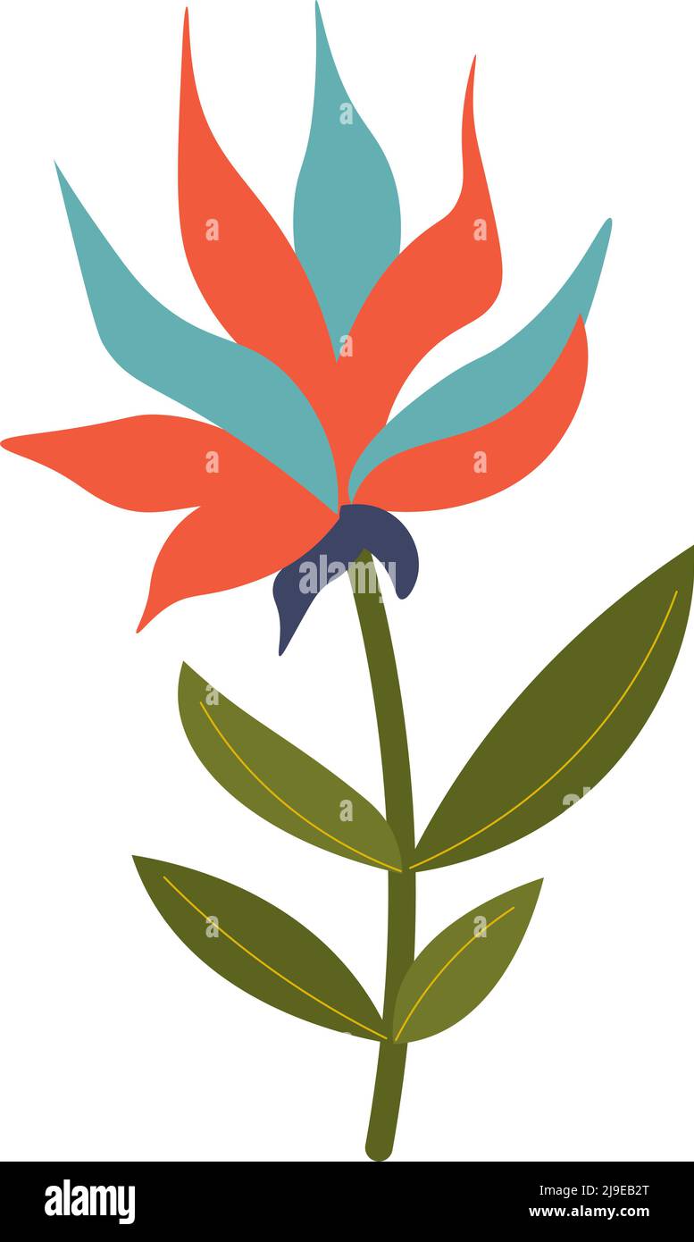Exotic flower in blossom, leaves petals of plant Stock Vector Image ...