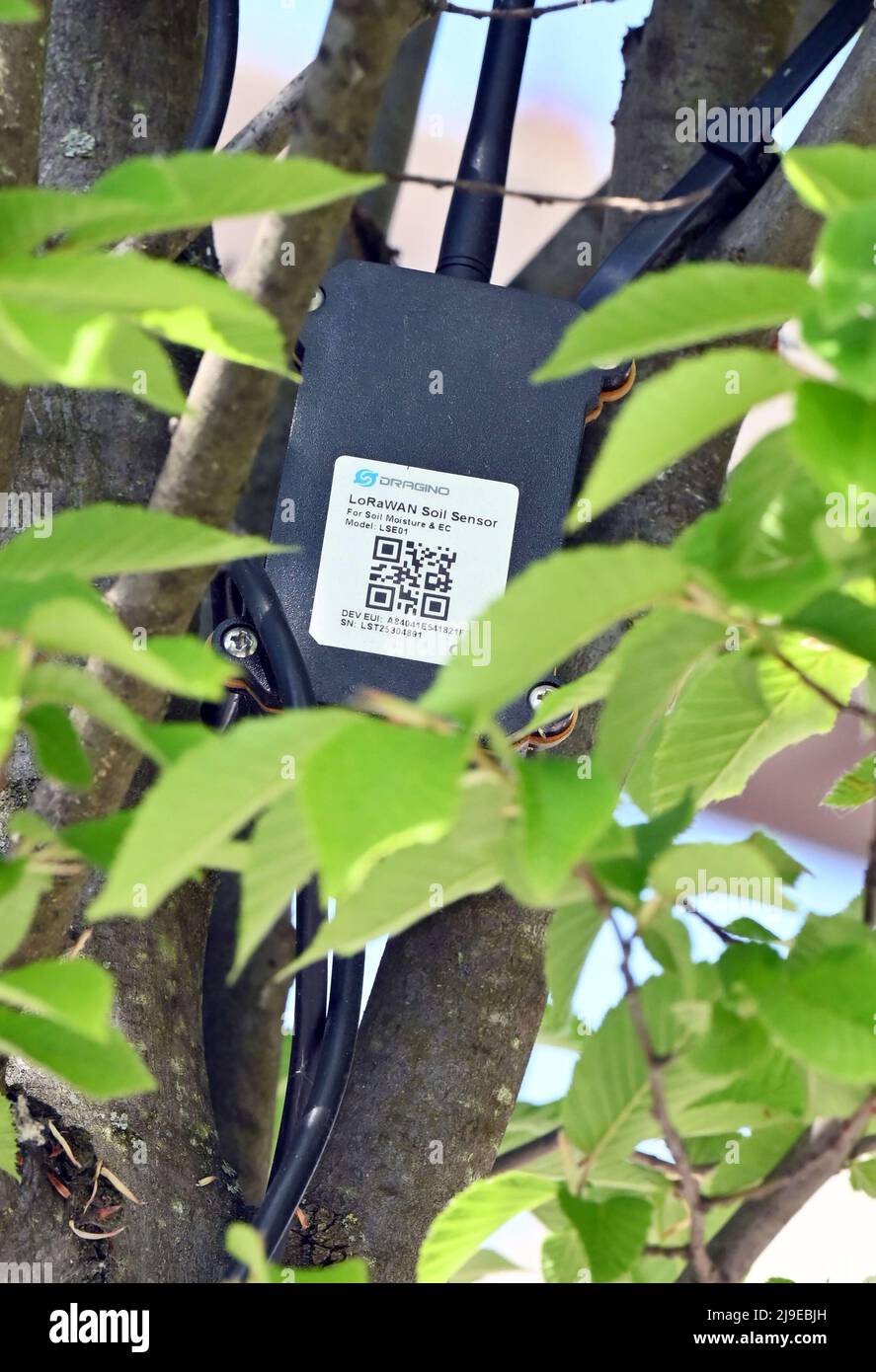 PRODUCTION - 17 May 2022, Baden-Wuerttemberg, Pforzheim: An antenna is ...