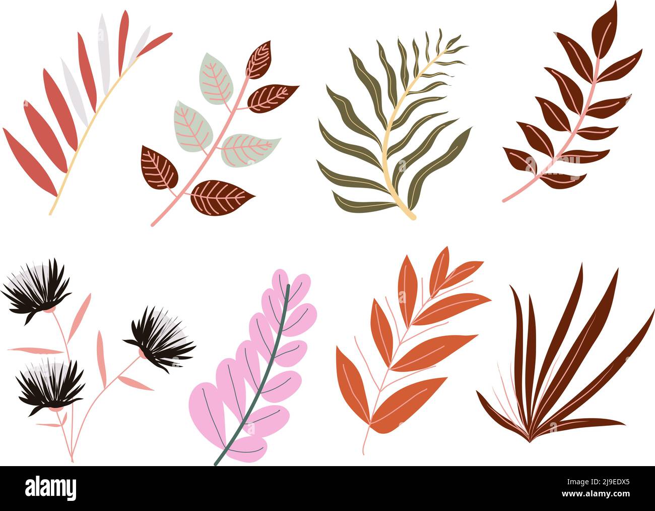 Autumn or spring leaves and branches, twigs set Stock Vector Image ...