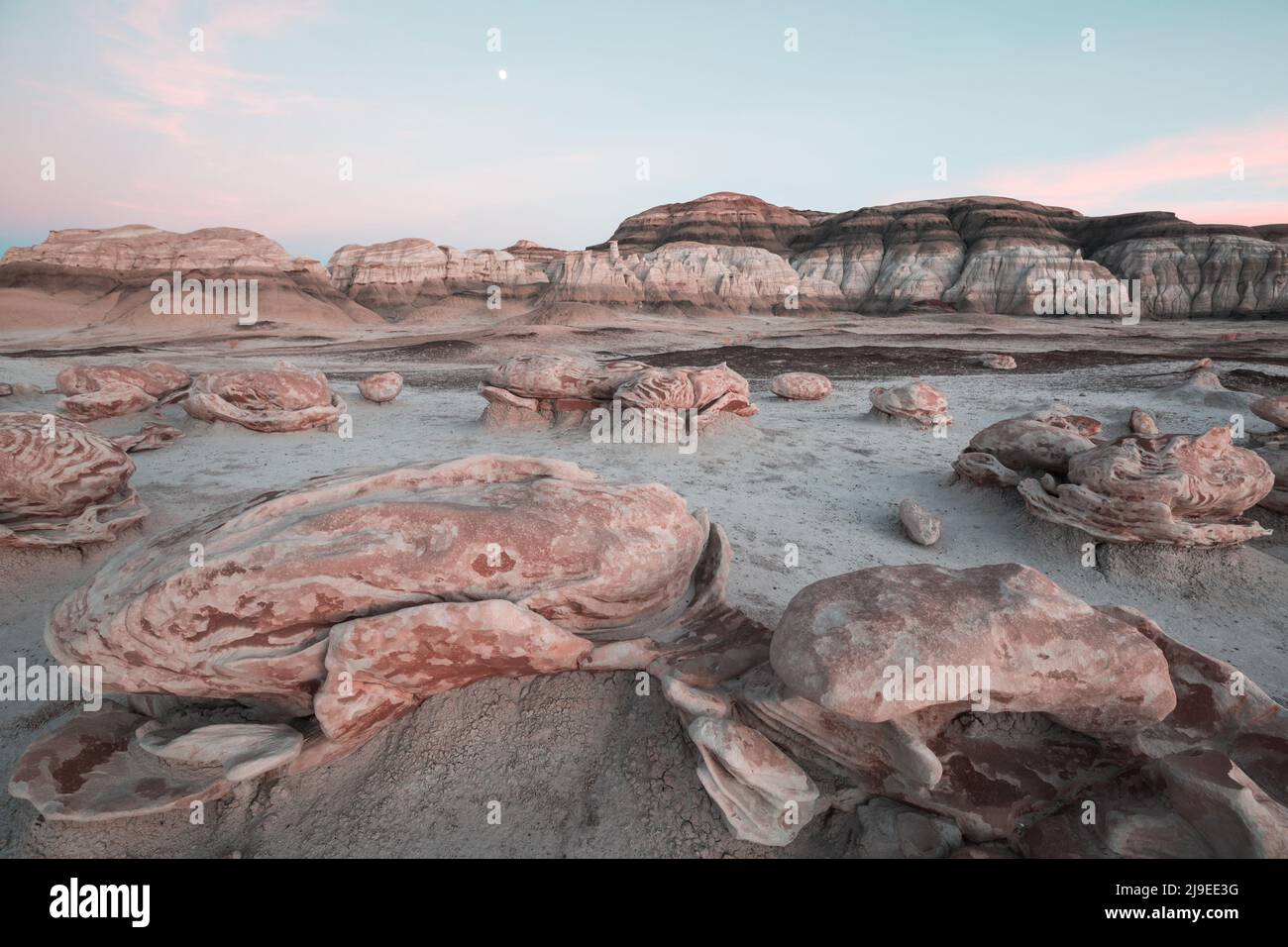 Unusual desert landscapes in Bisti badlands, De-na-zin wilderness area ...