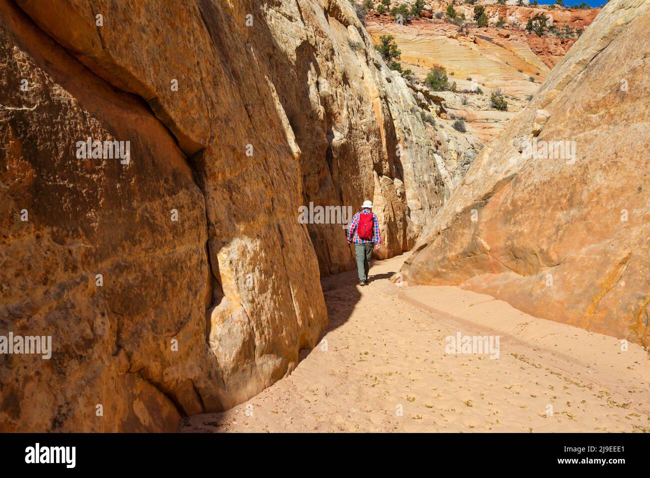 Slot canyon in Grand Staircase Escalante National park, Utah, USA ...