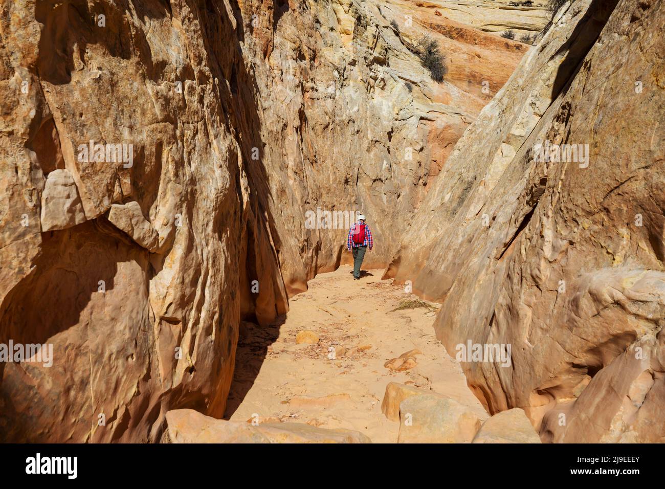 Slot canyon in Grand Staircase Escalante National park, Utah, USA ...