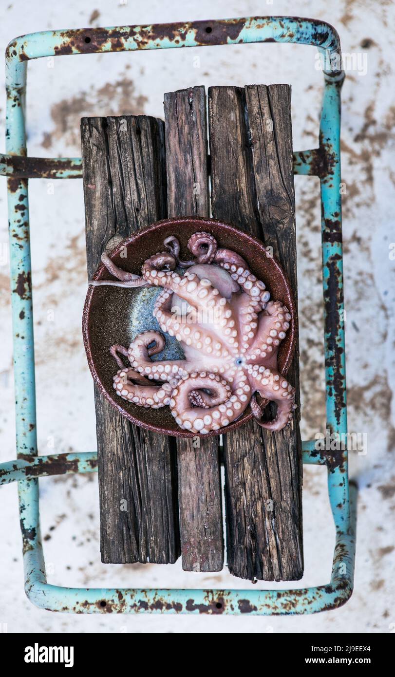 Octopus is raw, ready to cook. Close-up of a fresh raw octopus. seafood ...