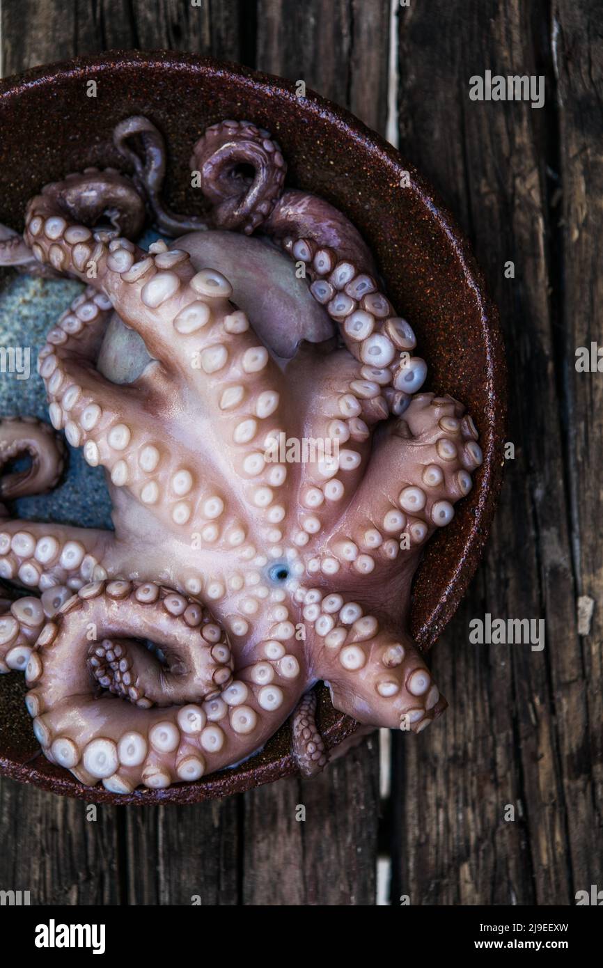 Octopus is raw, ready to cook. Close-up of a fresh raw octopus. seafood ...