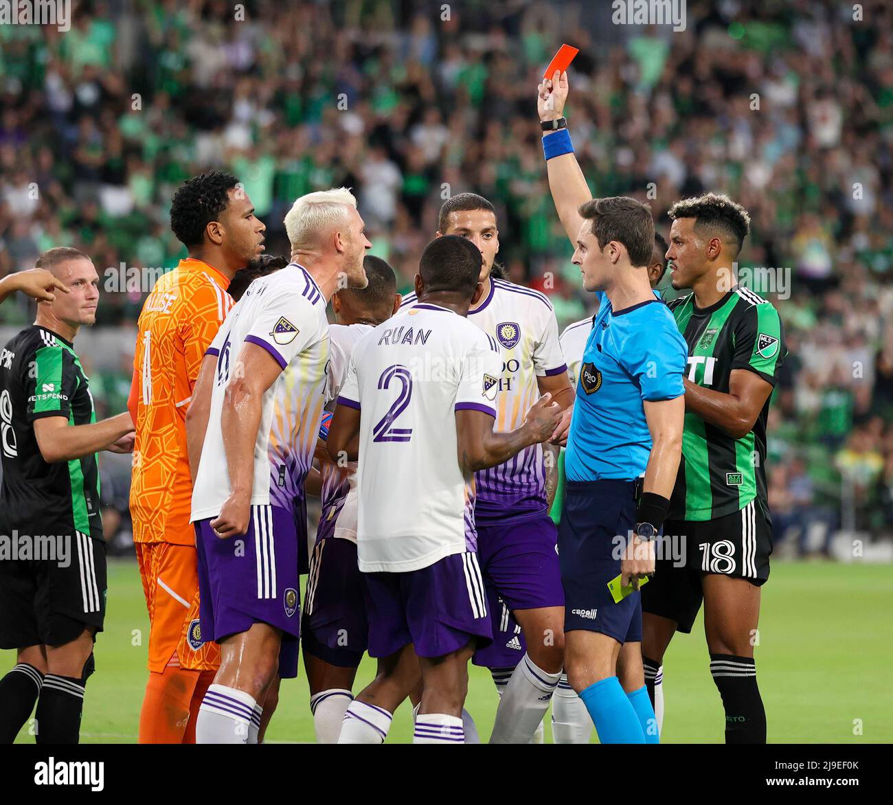 Ja nior urso hi-res stock photography and images - Alamy