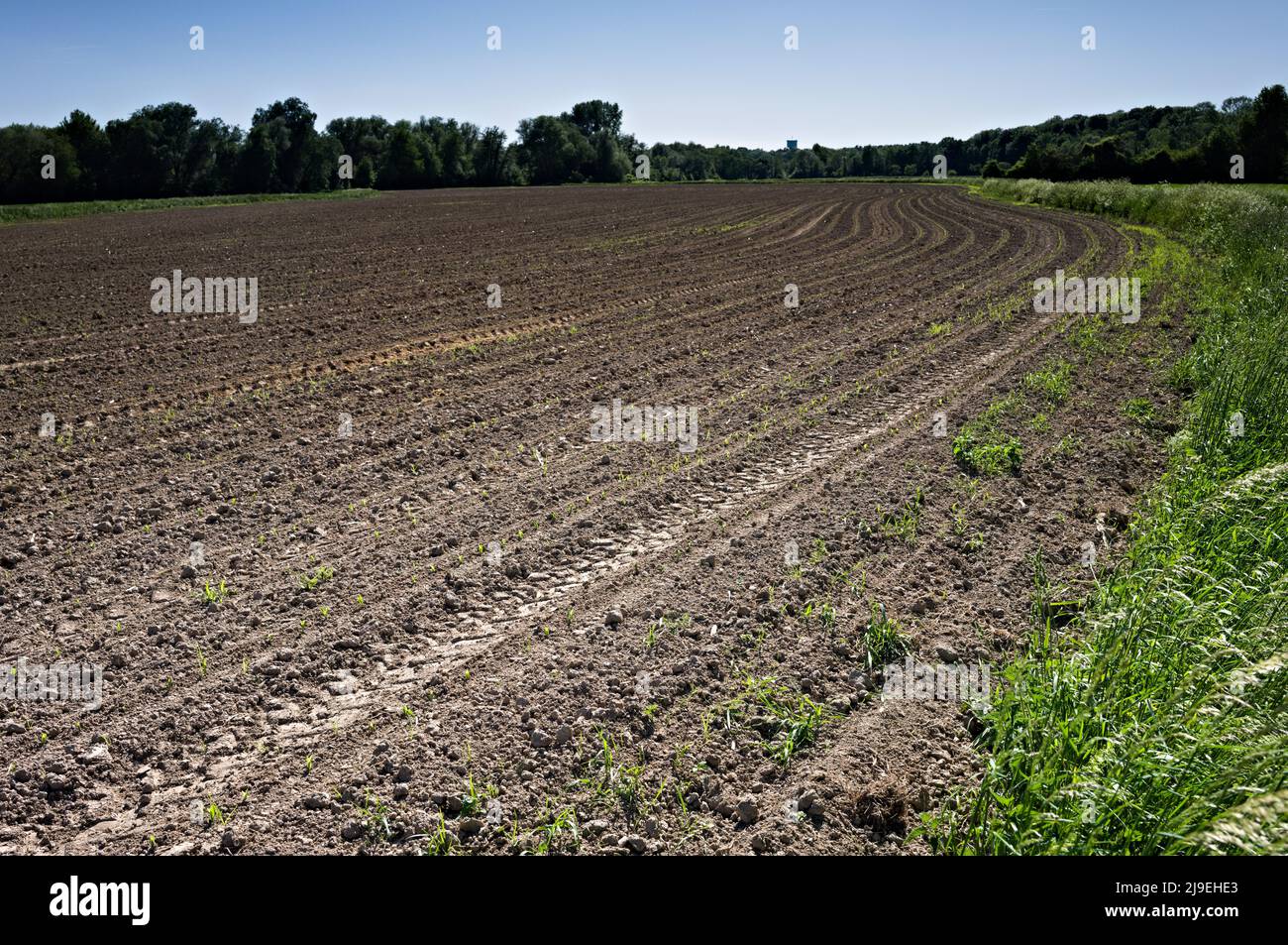 Lines and curves of a fresh prepared field Stock Photo - Alamy