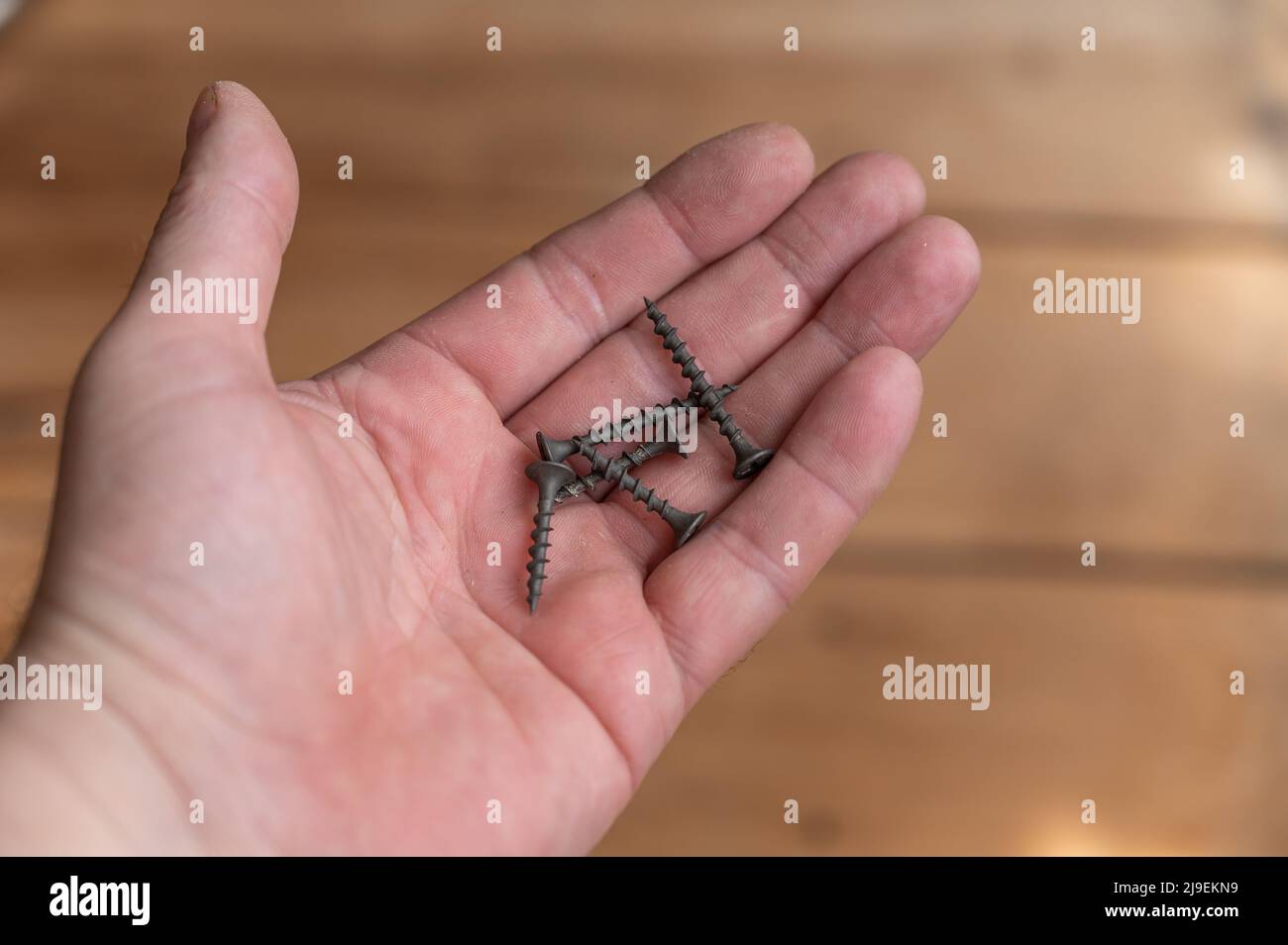 Spiral screw palm hi-res stock photography and images - Alamy