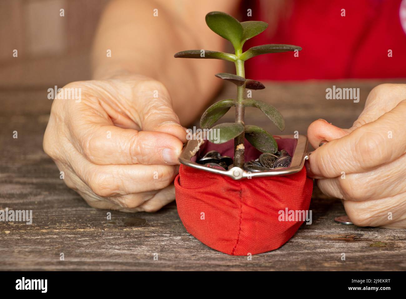 Accounting tree hi-res stock photography and images - Alamy