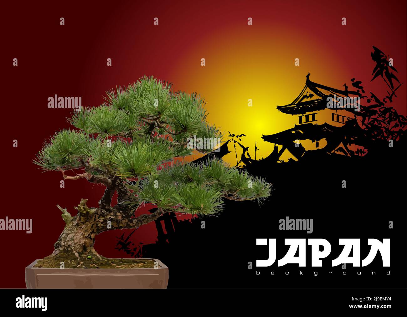 Pine Bonsai Wallpaper