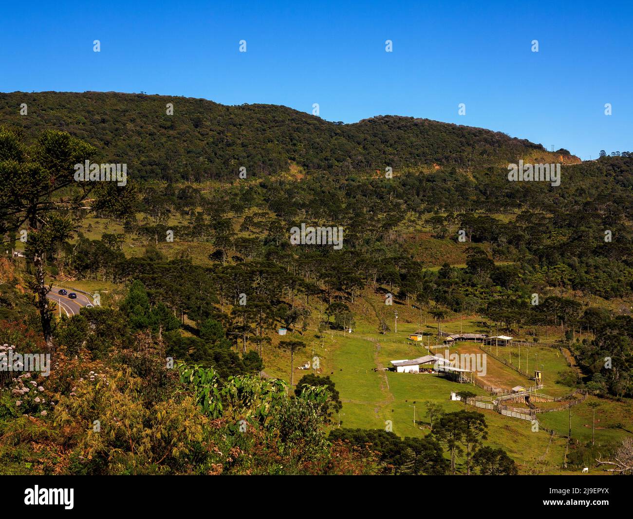 Farmlands at the beautiful valleys of Urubici, Santa Catarina, Brazil ...
