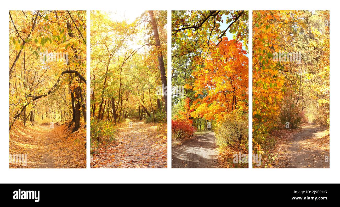 Scenic autumn landscape lush deciduous Cut Out Stock Images & Pictures ...
