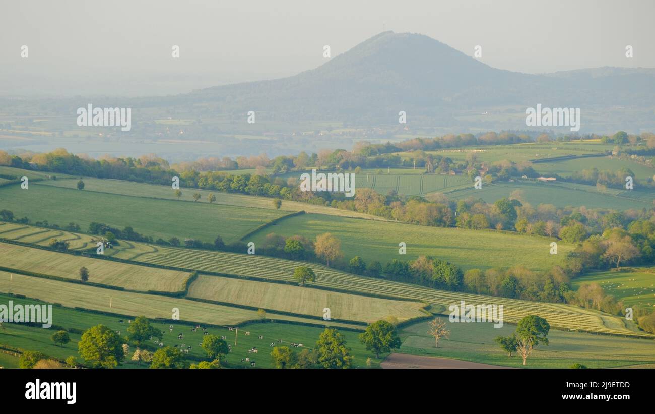 The Wrekin Hill and rolling farmland in warm sunset light in spring ...