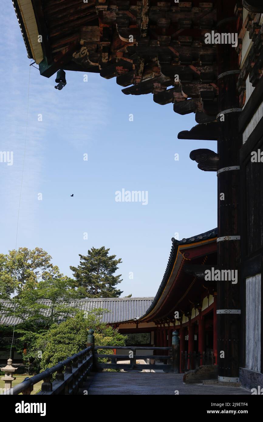 nara, japan, 2022/05/05 , Tōdai-ji temple in Nara park during golden ...