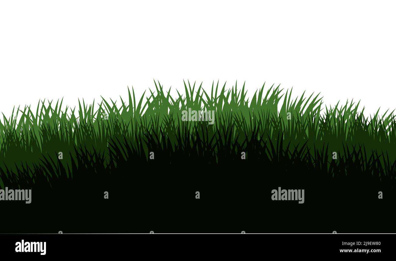 Grass. Nature rural landscape. Pasture overgrown. Overgrown dense lawn ...