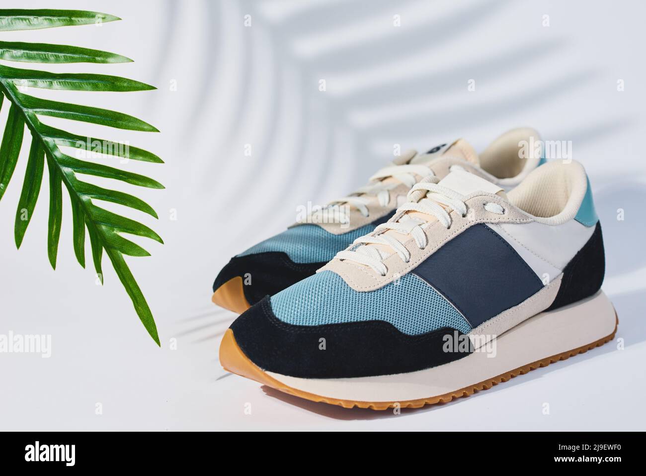 Stylish colorful shoes on white background with plant shadows, Trendy ...