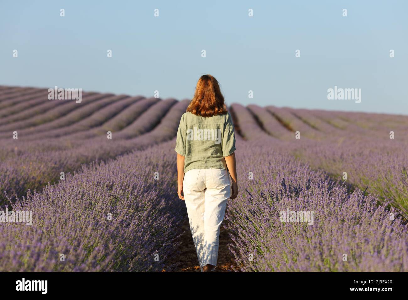 Back view portrait hi-res stock photography and images - Alamy