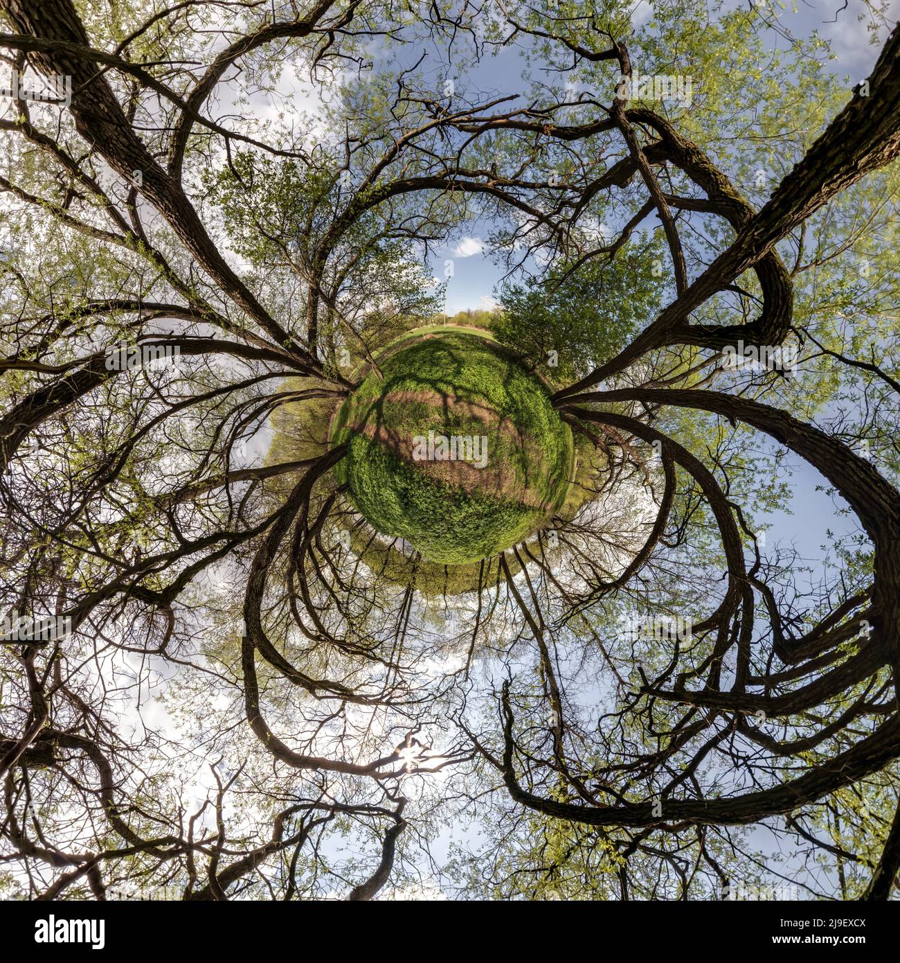 autumn tiny planet transformation of spherical panorama 360 degrees ...