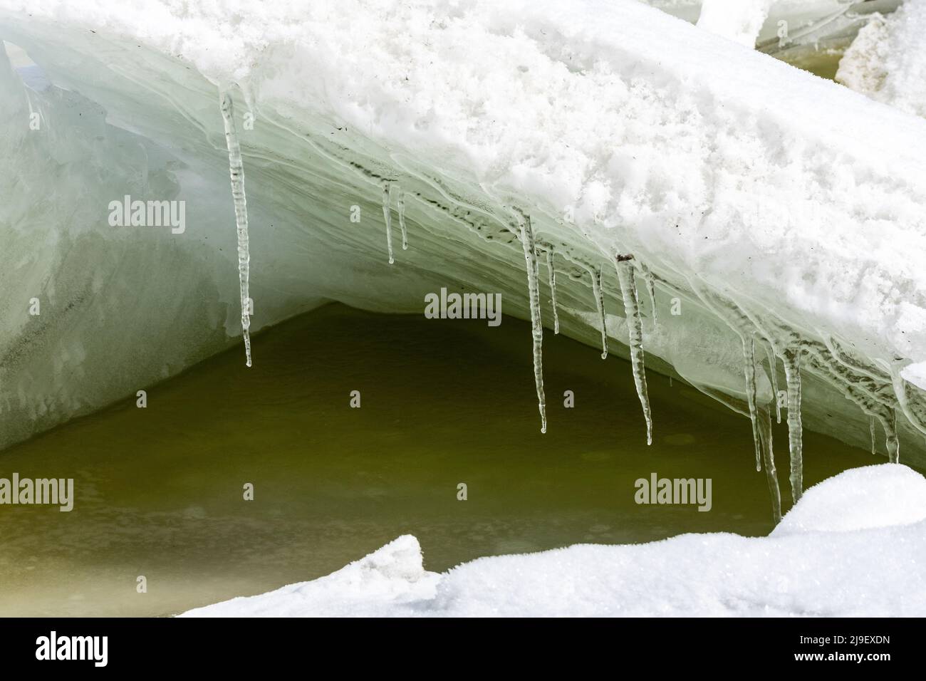 Hummocked ice breaks along lakeshore, winter, bear river migratory bird ...