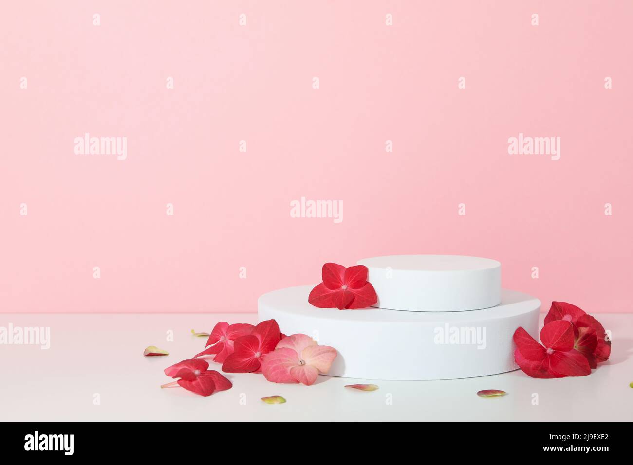 Composition with podium for your design and advertising Stock Photo - Alamy