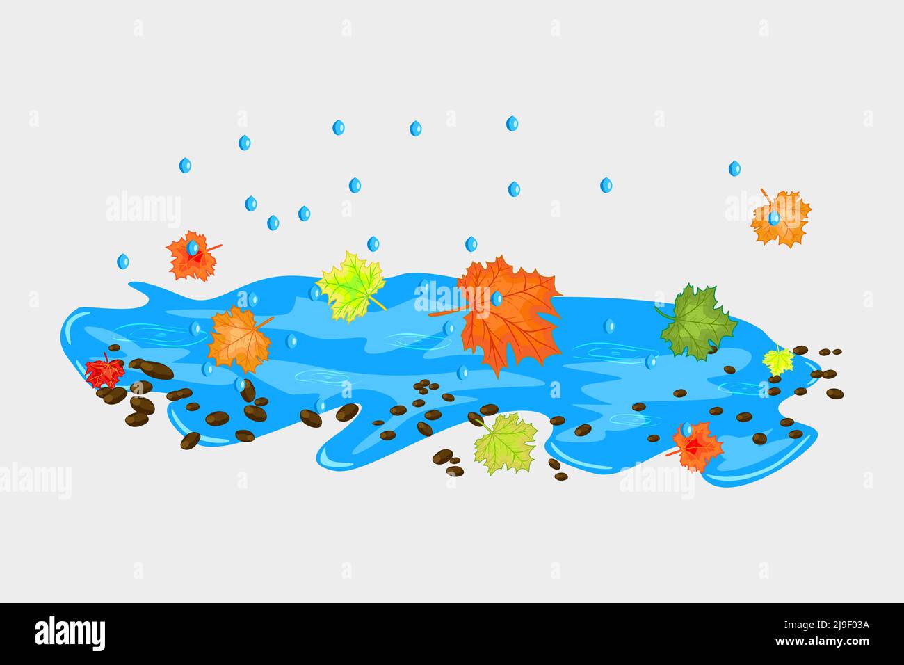 Puddle, raindrops and falling leaves.Autumn maple leaf floating in puddle in water.Fall season ...