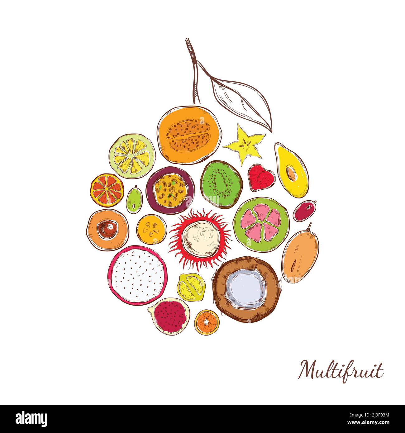 Berries berry fruits round Stock Vector Images - Alamy