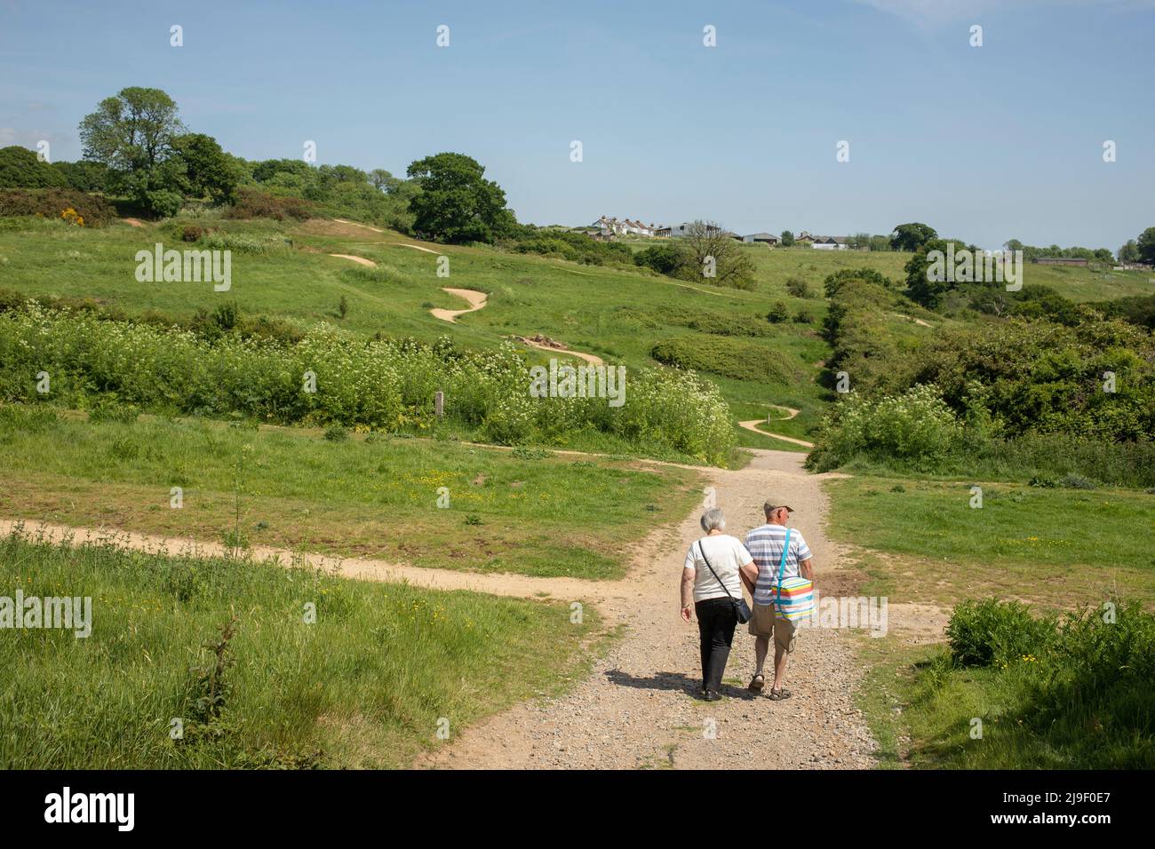 Couple walking in the wooden pathway hi-res stock photography and ...