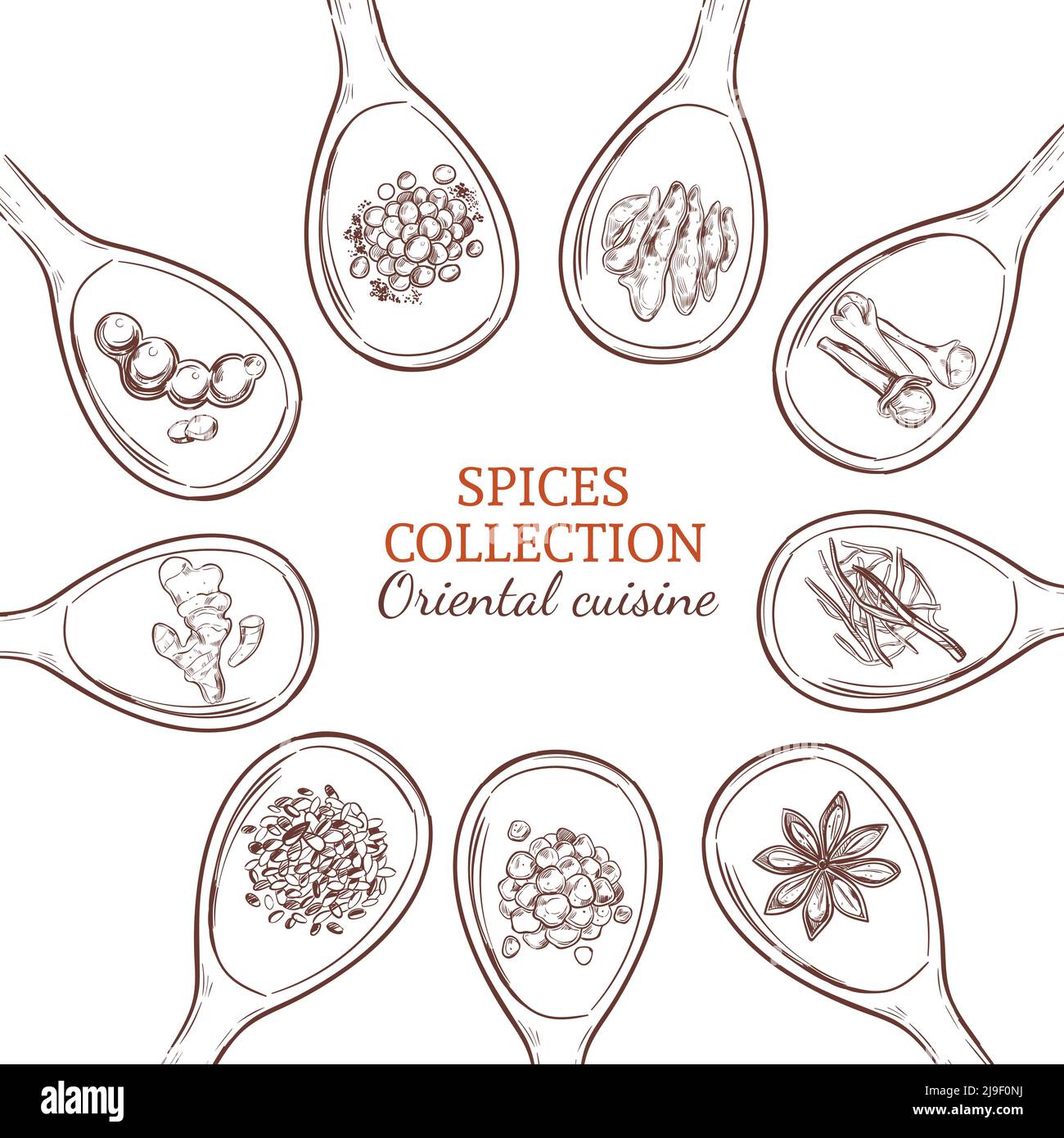 Sketch spices and herbs round concept with food seasonings and ...