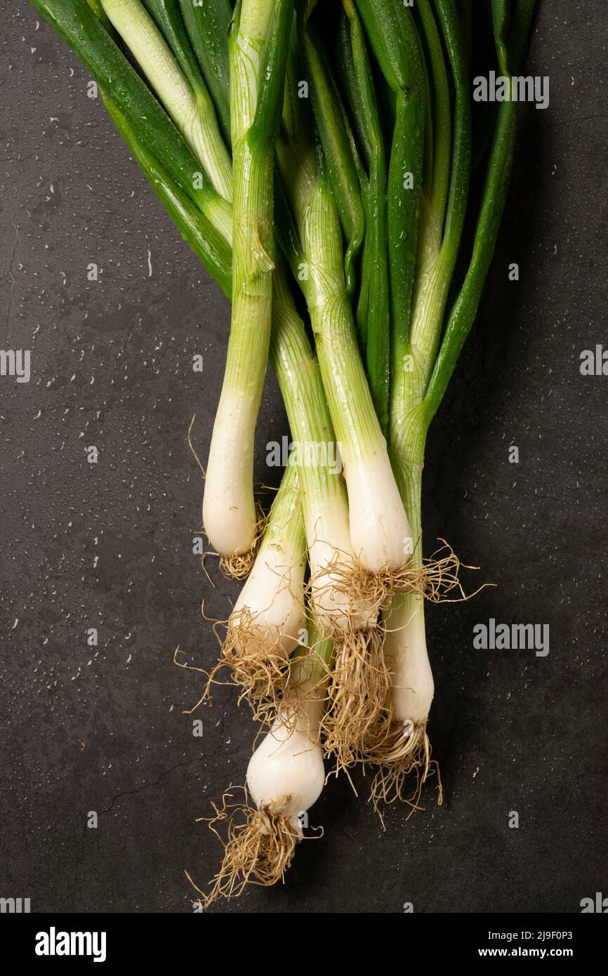 Spring onions on dark background. Harvest, agricultural concept ...