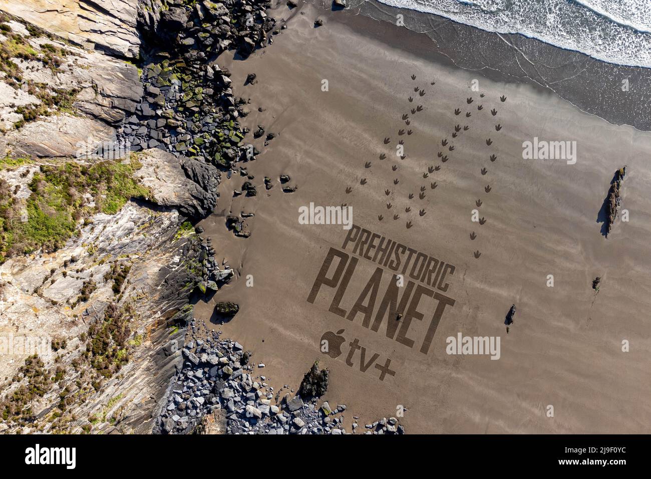 EDITORIAL USE ONLY Aerial views of Tyrannosaurus rex footprints which ...