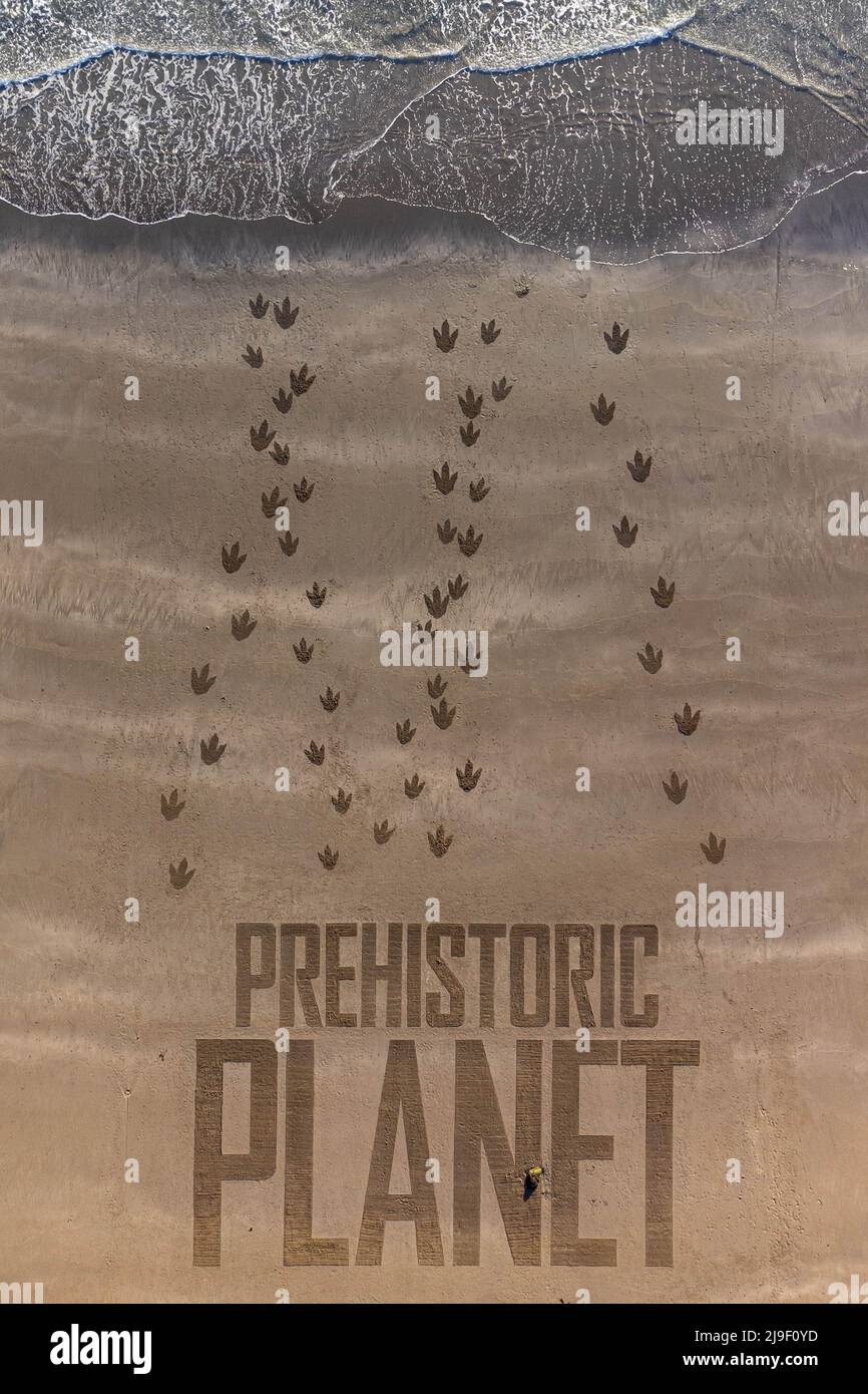 EDITORIAL USE ONLY Aerial views of Tyrannosaurus rex footprints which ...