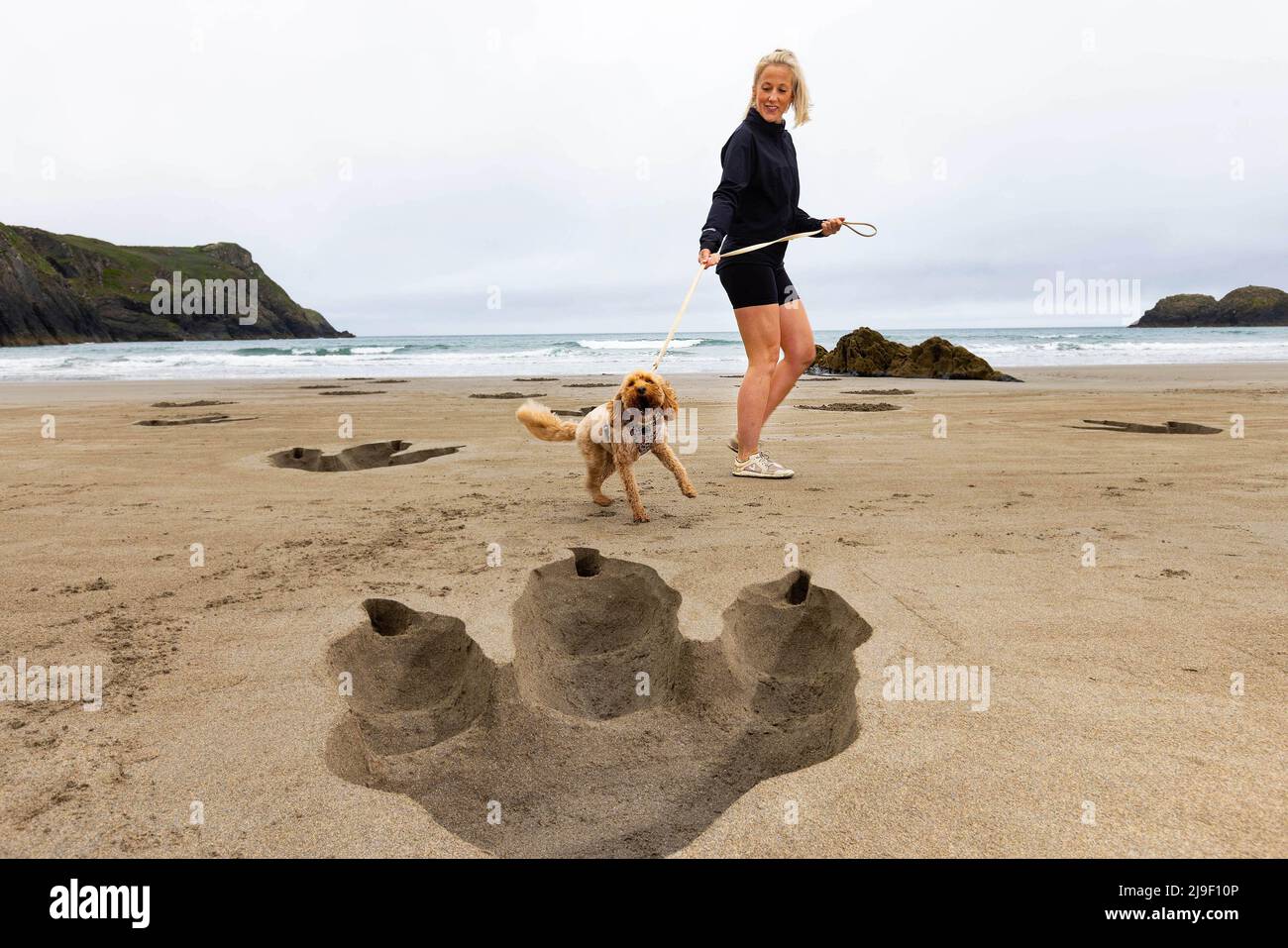 EDITORIAL USE ONLY Alex Bull walks past Tyrannosaurus rex footprints ...
