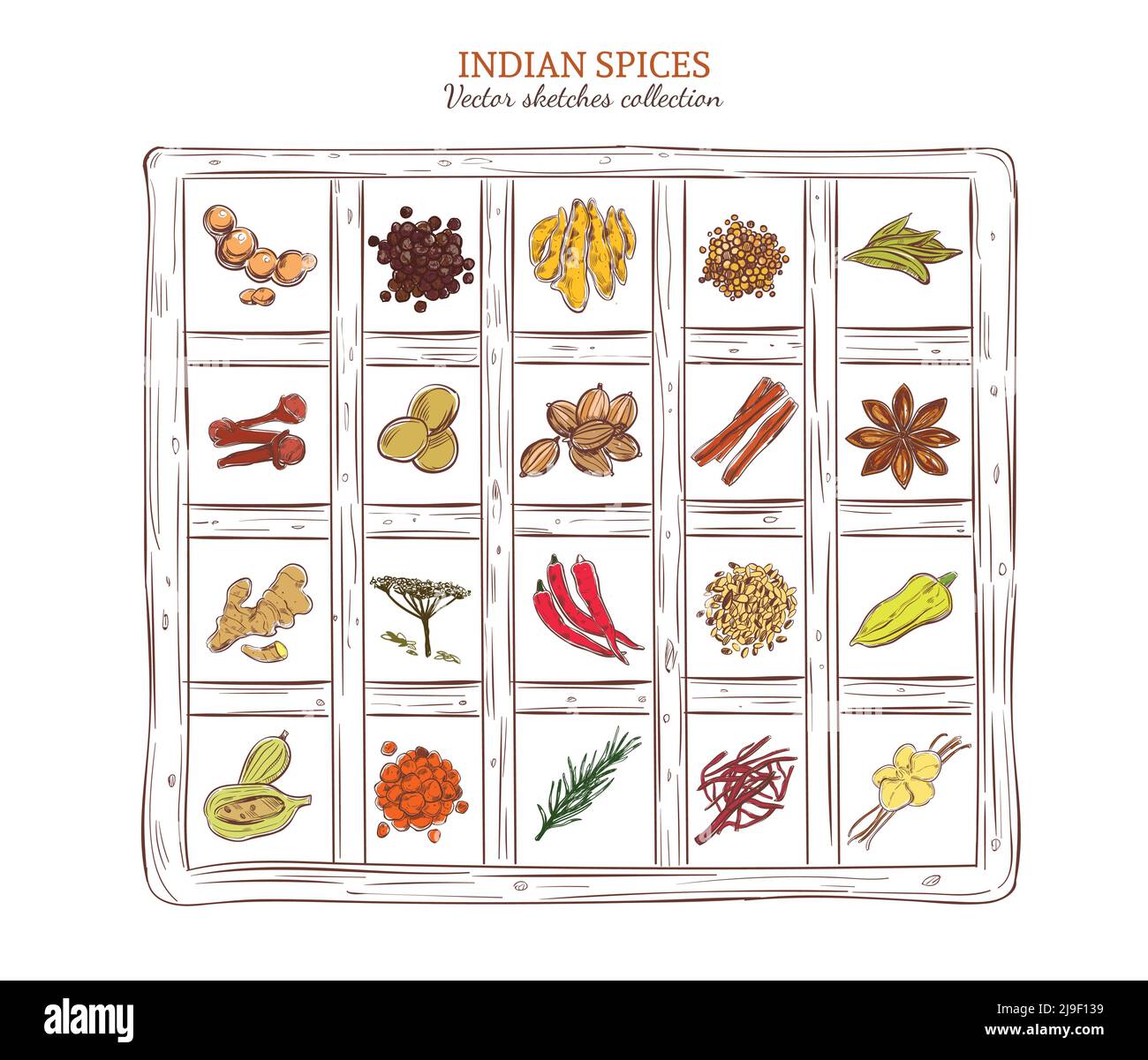 Colored sketch indian spices set with herbs and seeds in wooden frame ...