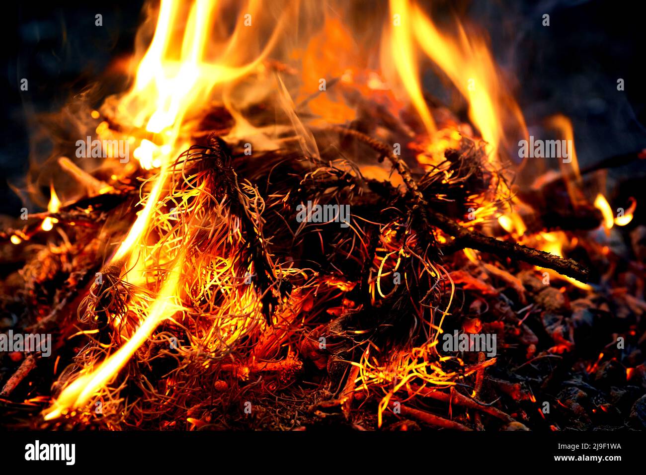 Bonfire and heat burning flame. Forest danger fire Stock Photo - Alamy