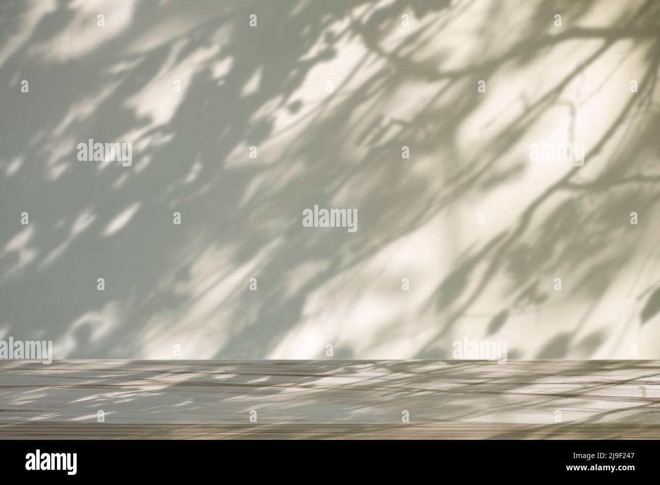 Shadow table background. White wall with shadows plants and tree in ...