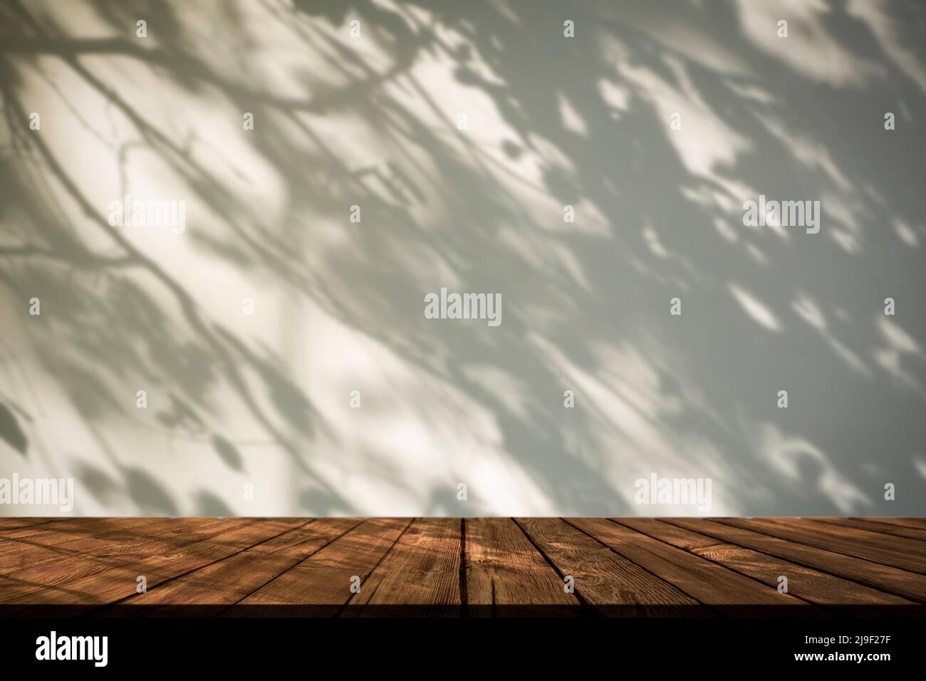 Shadow table background. White wall with shadows plants and tree in ...