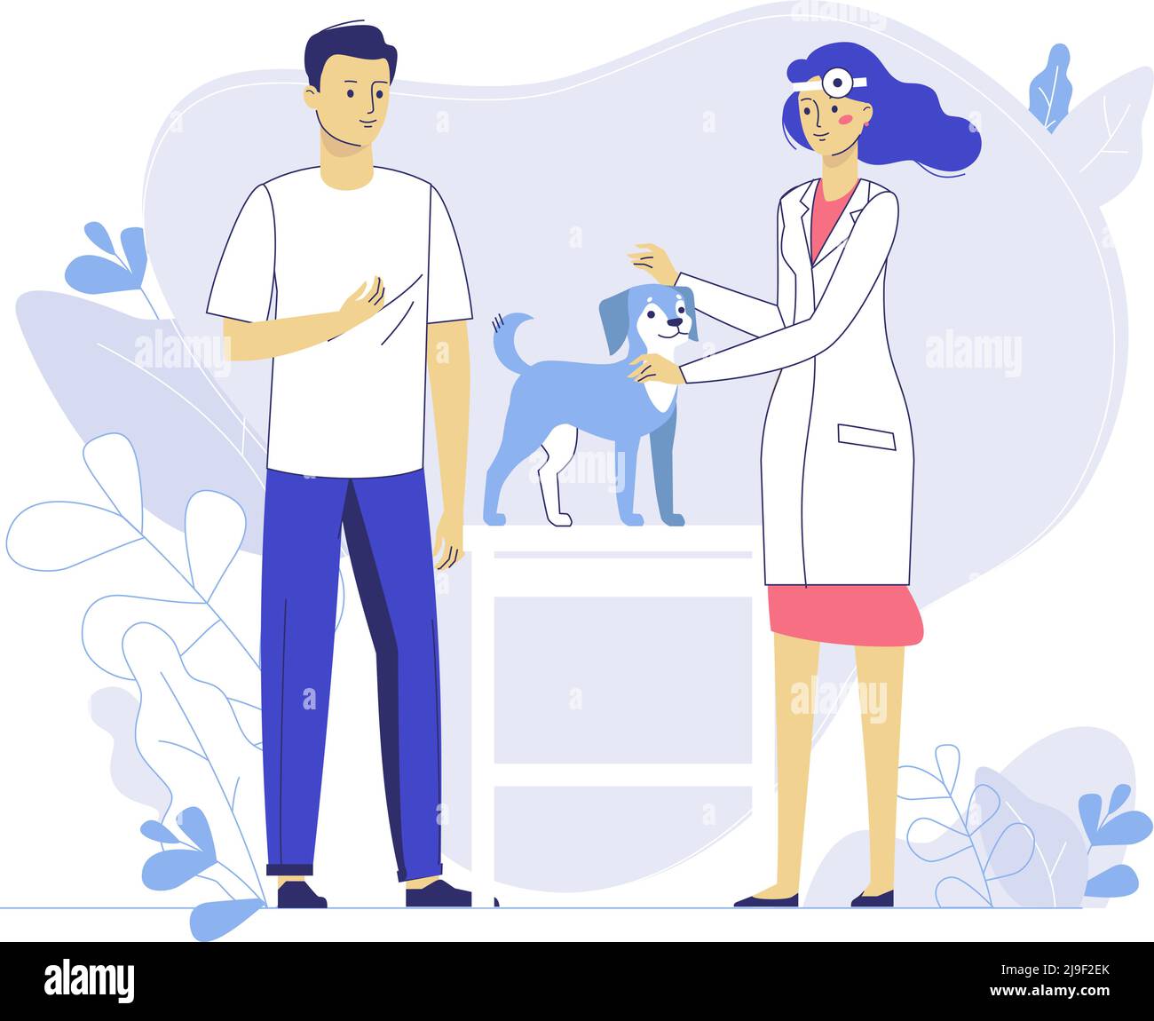 Veterinarian makes a medical examination to dog in hospital. Healthcare ...