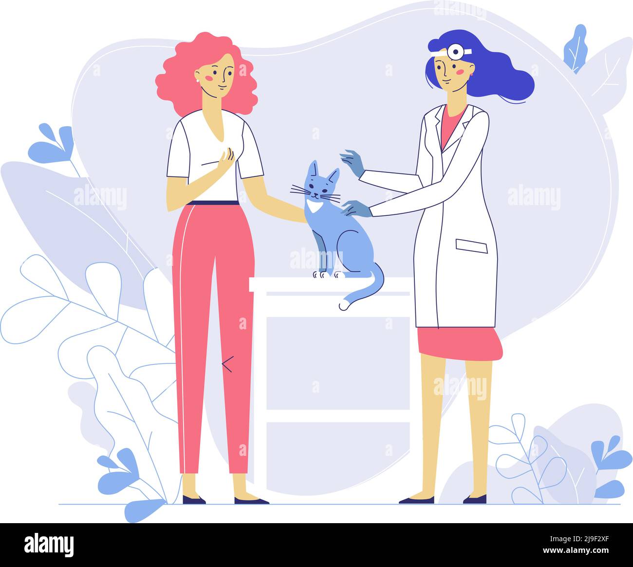 Veterinarian makes a medical examination to cat in hospital. Healthcare ...