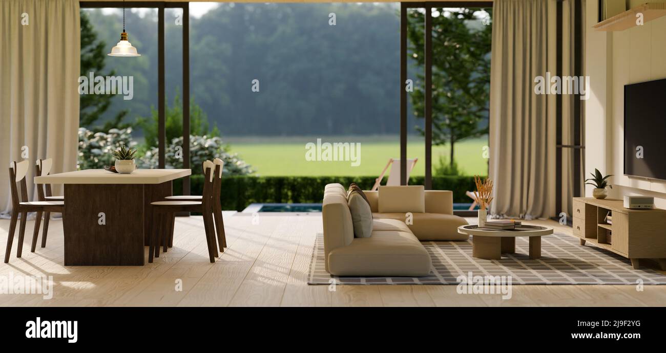 Modern comfortable living room interior with comfy minimal sofa, coffee ...